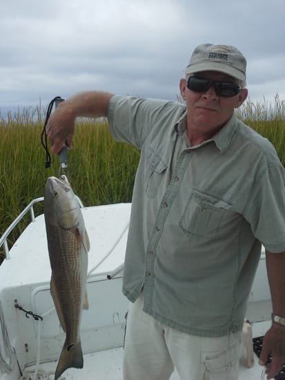 Affordable Charters Fishing Report flounder, Virginia mullet, a few ...